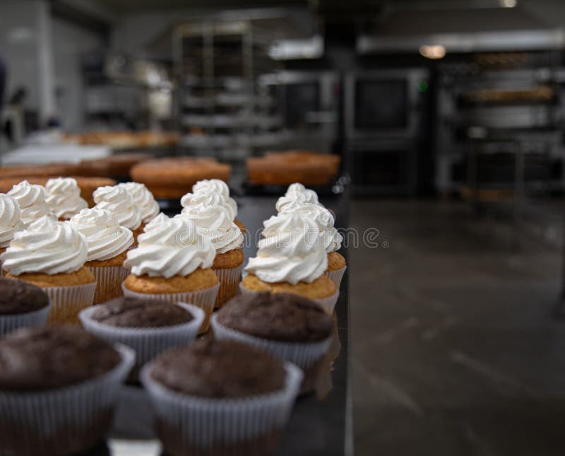 Cupcake Production Inside the Bakery Stock Image - Image of cupcakes ...