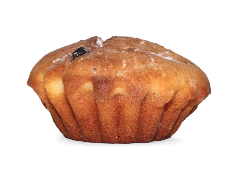 Cupcake single stock photo. Image of sweet, individual - 24413094