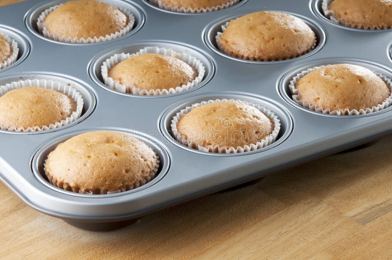 Cupcakes in a baking tray stock photo. Image of muffin - 48409992