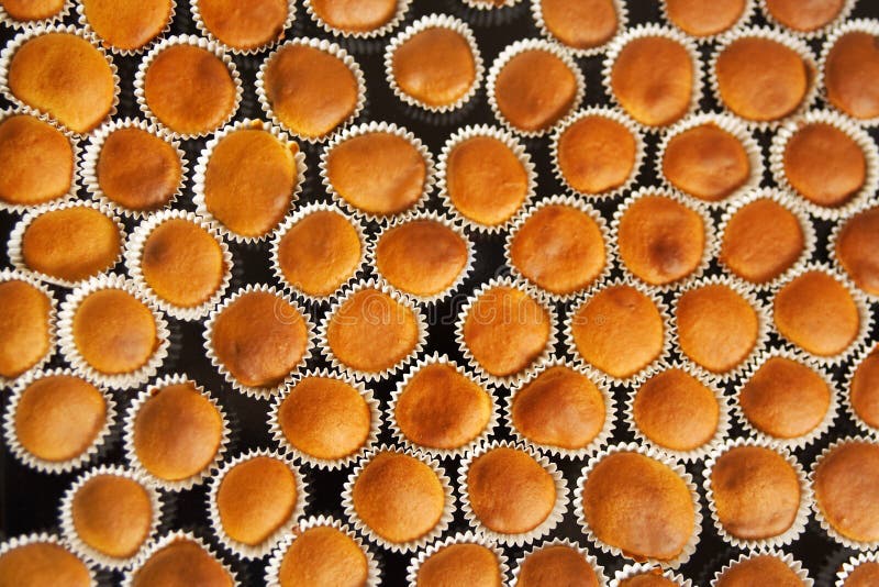 Cupcakes in White Paper, View from Above Stock Image - Image of ...