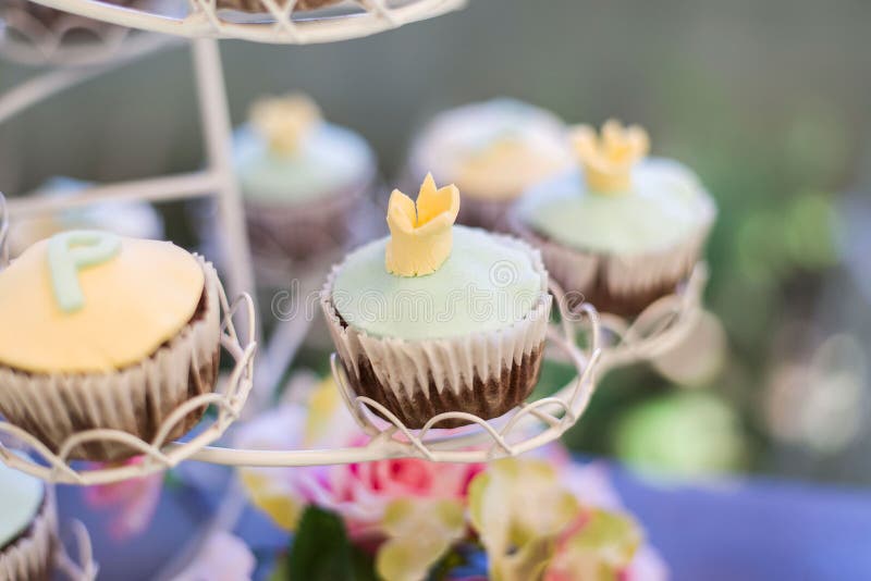 Cupcakes stock image. Image of green, pastries, festive - 56999453