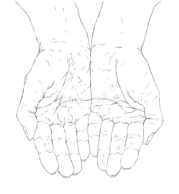 Cupped Hands Drawing Stock Illustrations – 686 Cupped Hands Drawing ...