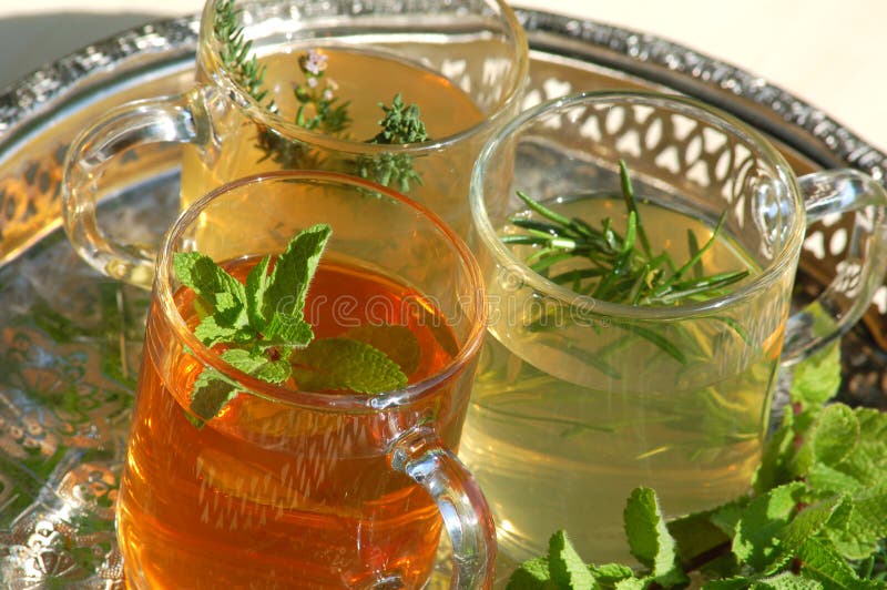 Cups with Herbal Tea and Fresh Herbs Stock Photo - Image of dried ...