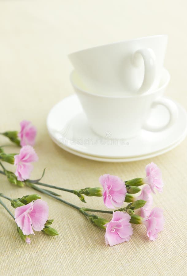 Cups on table stock photo. Image of plate, table, meal - 11322144