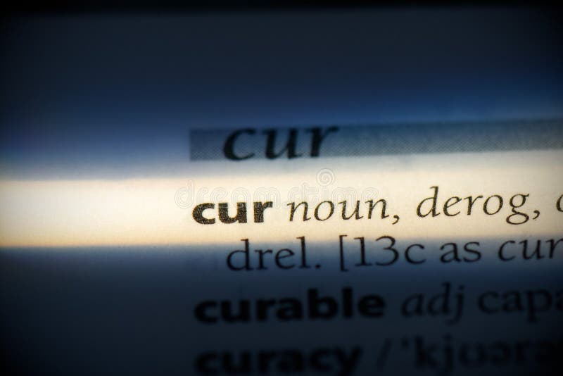 Cur stock photo. Image of concept, learn, isolated, macro - 161578148