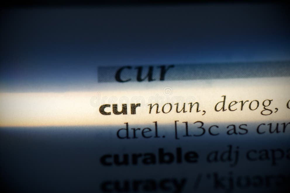 Cur stock photo. Image of concept, learn, isolated, macro - 161578148