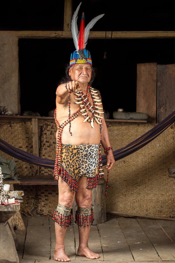 Curandeiro Do Amazonas Portrait Foto de Stock - Imagem de poderoso ...