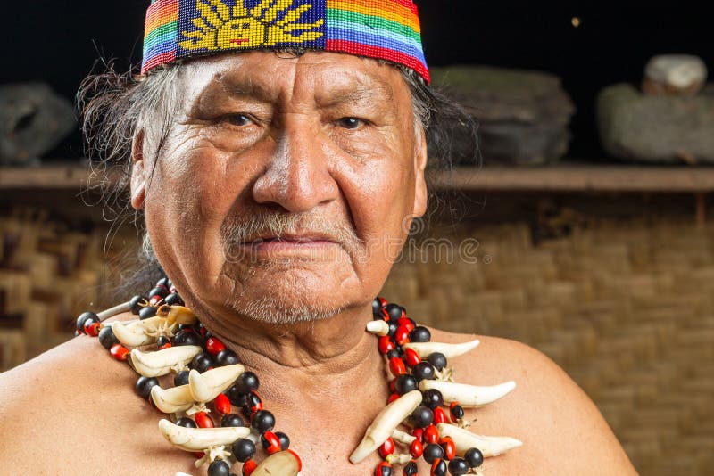 Curandeiro Do Amazonas Portrait Imagem de Stock - Imagem de equador ...