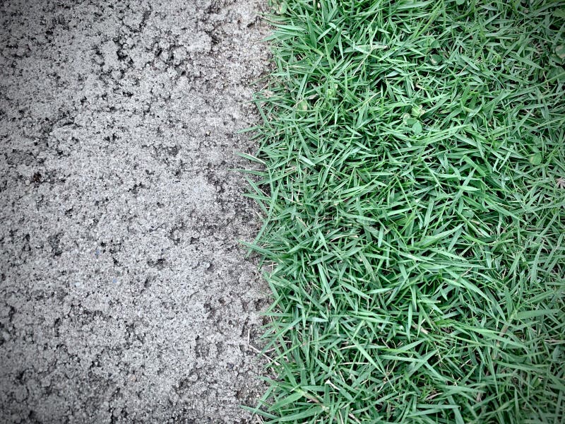 Curb and Grass Border Close Up View Stock Image - Image of blocks ...