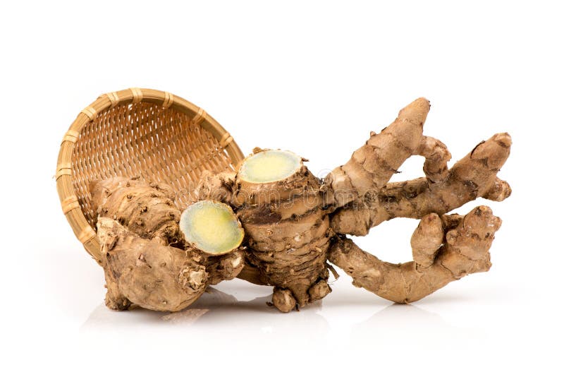 Curcuma Aeruginosa Rhizome Isolated on White Background Stock Photo ...