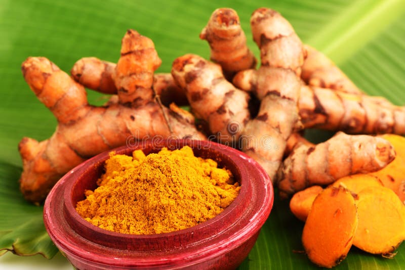 Curcuma (curcuma longa L ) fotografia stock. Immagine di erbe - 45419660
