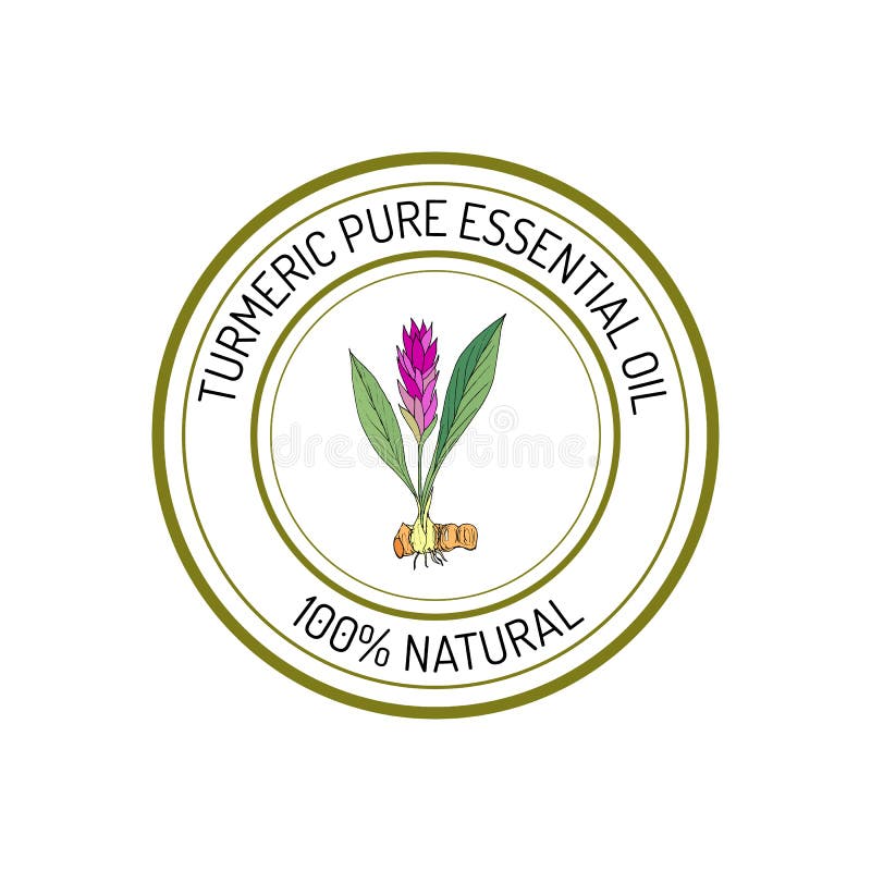 Curcuma, Etichetta Dell'olio Essenziale, Pianta Aromatica Illustrazione ...