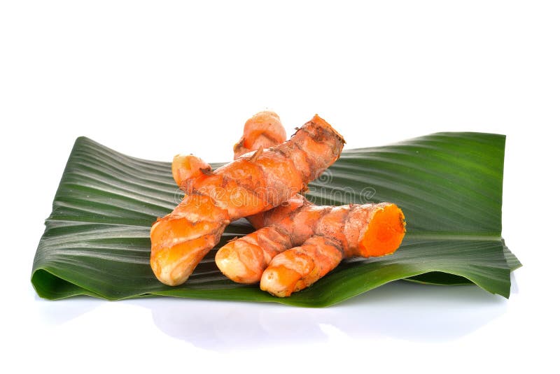 Curcuma Longa L Di Turmaric Fotografia Stock - Immagine di radice ...