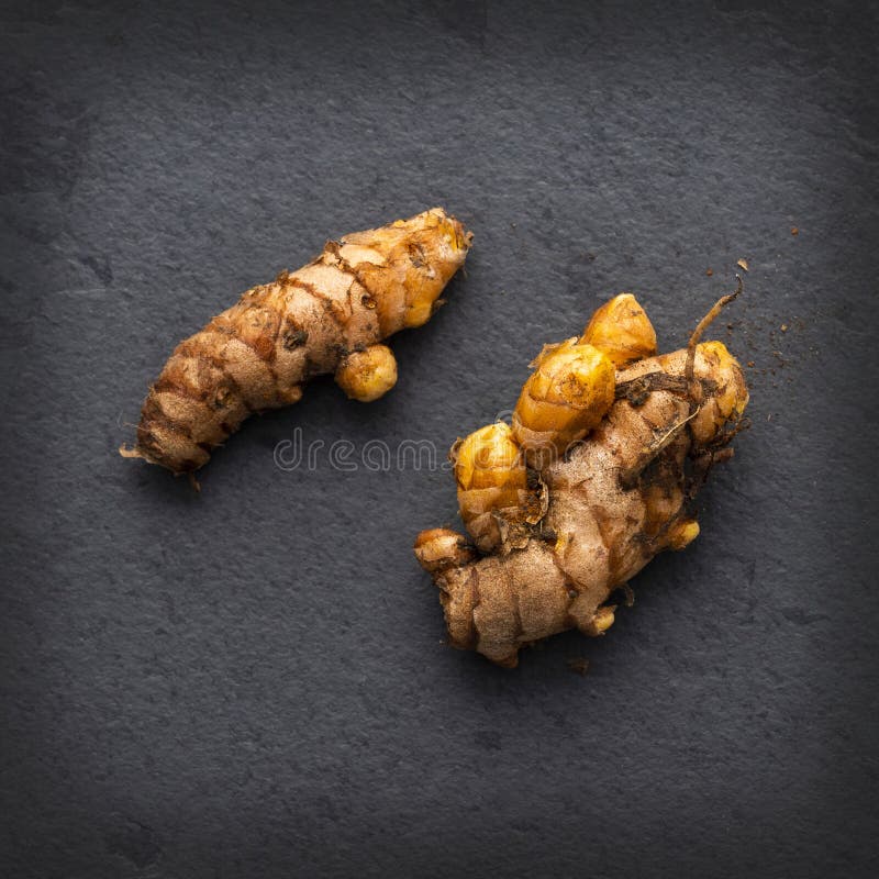 Curcuma Longa - Organic Turmeric Spice Roots Stock Photo - Image of ...