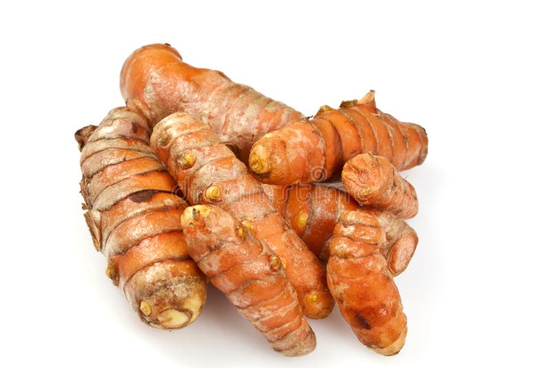 Curcuma O Rizoma Fresca Della Curcuma Immagine Stock - Immagine di ...
