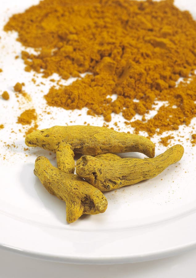 CURCUMA stock image. Image of plate, condiment, still - 169898755