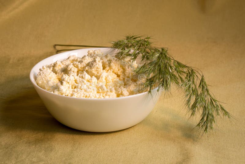 The curd on the plate stock photo. Image of foods, diet - 71350660