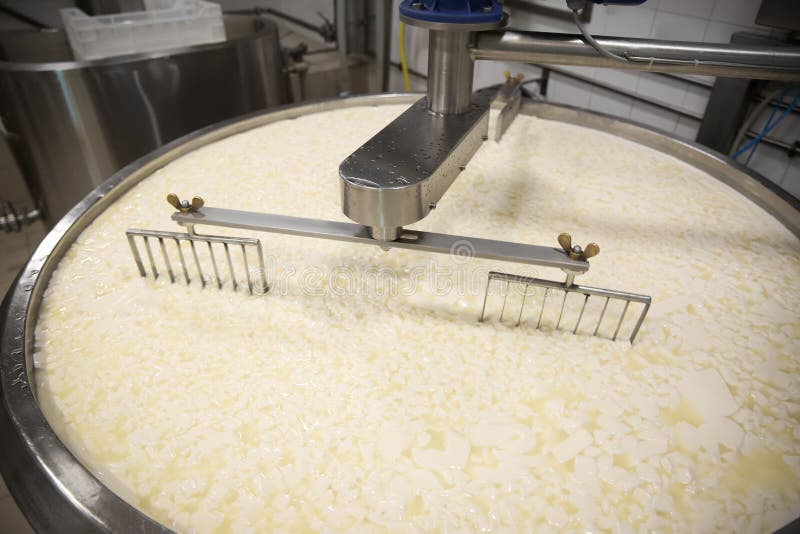 Curd and Whey in Tank at Cheese Factory Stock Image - Image of ...