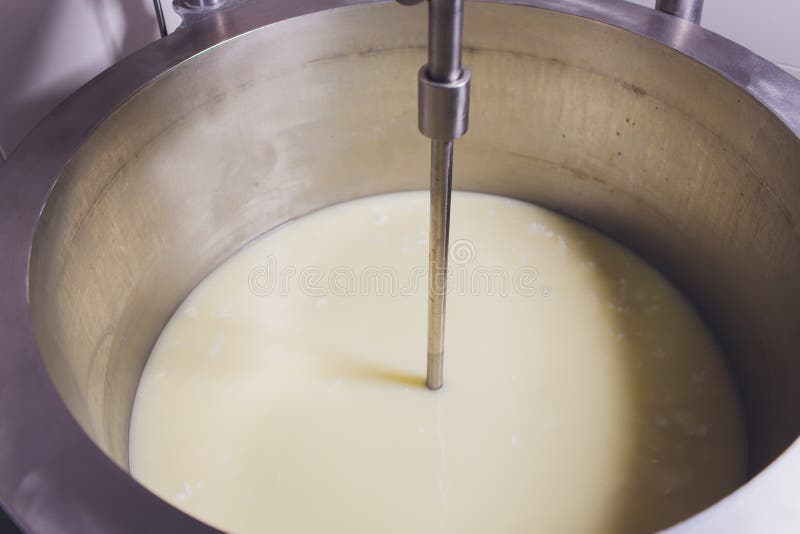 Curdled Milk Brought To High Temperature for the Production of Cheese ...