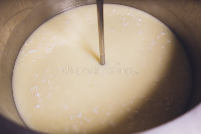 Curdled Milk Brought To High Temperature for the Production of Cheese ...