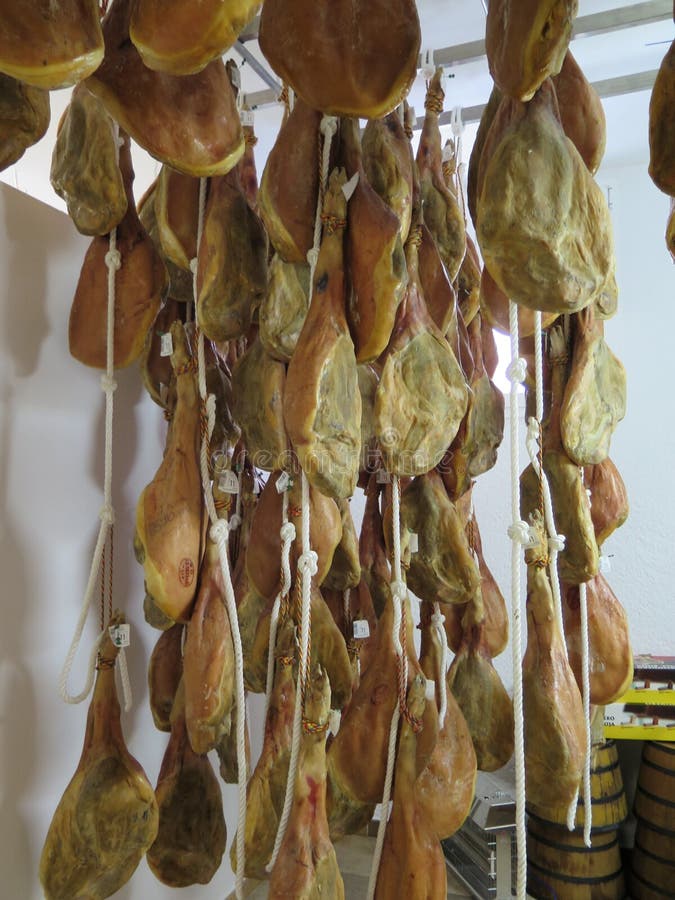 Curing Ham in Andalusia stock photo. Image of mediterranean - 81172204