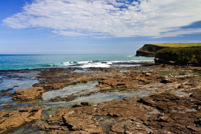 Curio Bay stock image. Image of green, blue, coast, white - 7699169