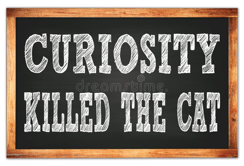 CURIOSITY KILLED the CAT Words on Black Wooden Frame School Blackboard ...