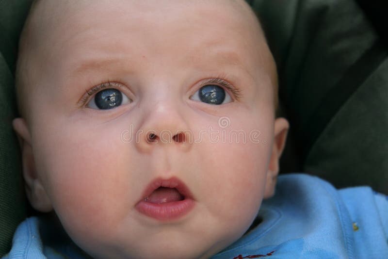 Curious Baby Picture. Image: 1526710