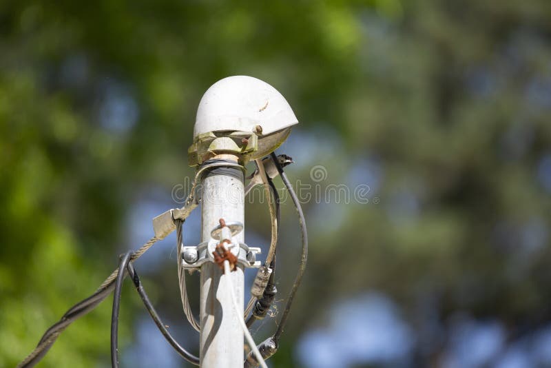 Chickadee on a wire stock photo. Image of green, black - 16711836