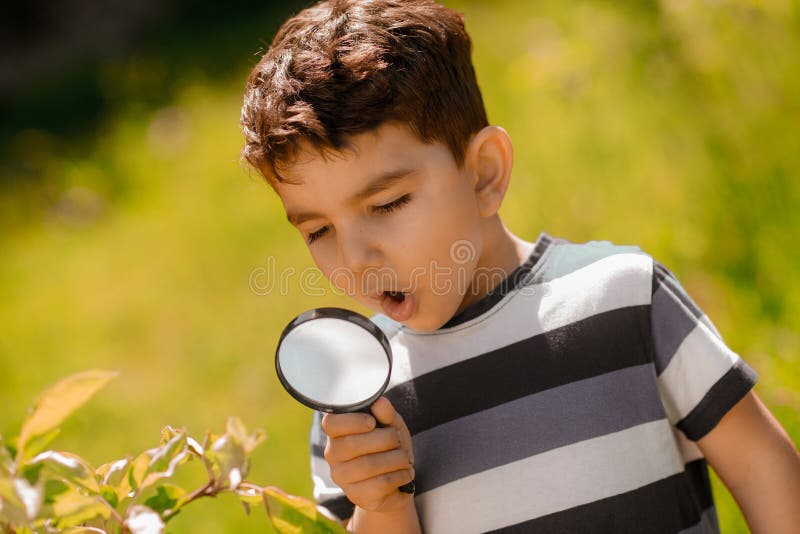 Curious Boy Investigating Nature with a Magnifier Stock Image - Image ...