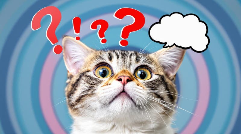 Curious Cat with a Question Mark Floating Above Its Head Looking ...