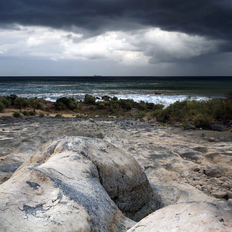The Curious Combinations of Nature Stock Photo - Image of wawes, plants ...