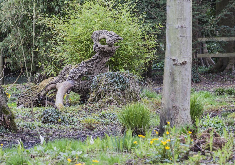 Curious Creature in the Forest Stock Photo - Image of malevolent, devil ...