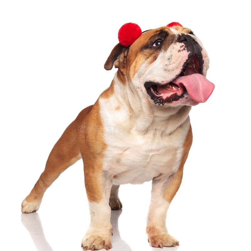 255 Lean English Stock Photos - Free & Royalty-Free Stock Photos from ...