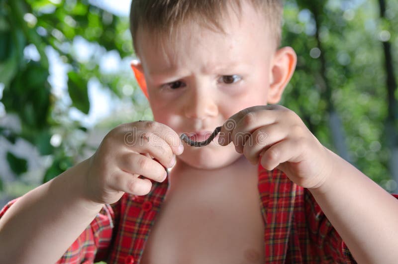 Curious Little Boy with a Worm Stock Image - Image of small ...
