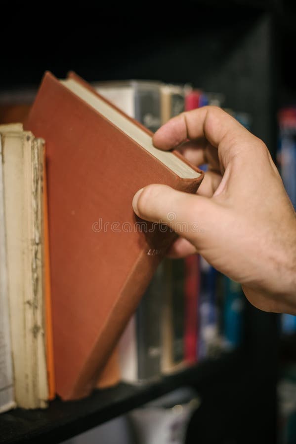 Curious Man Choosing Book in His Library at Home Stock Image - Image of ...