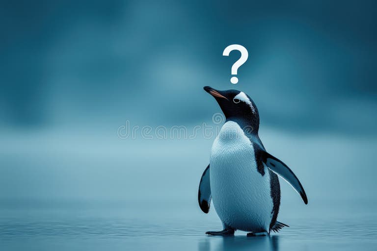 Penguin Question Mark Stock Photos - Free & Royalty-Free Stock Photos ...