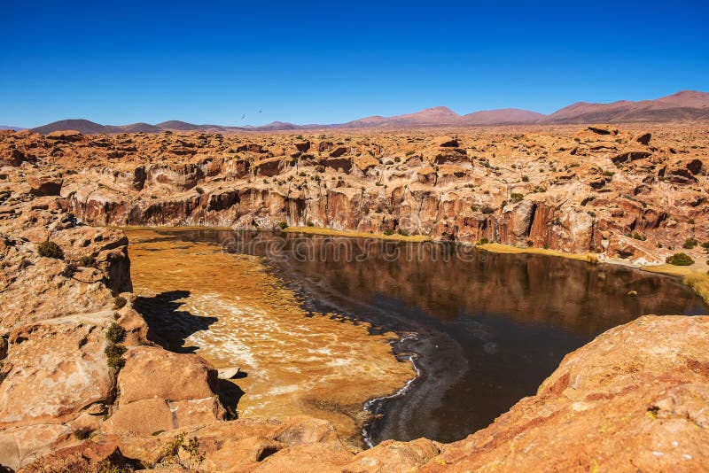 Curious Rock Formation in Valle De Las Rocas, Bolivia Stock Photo ...