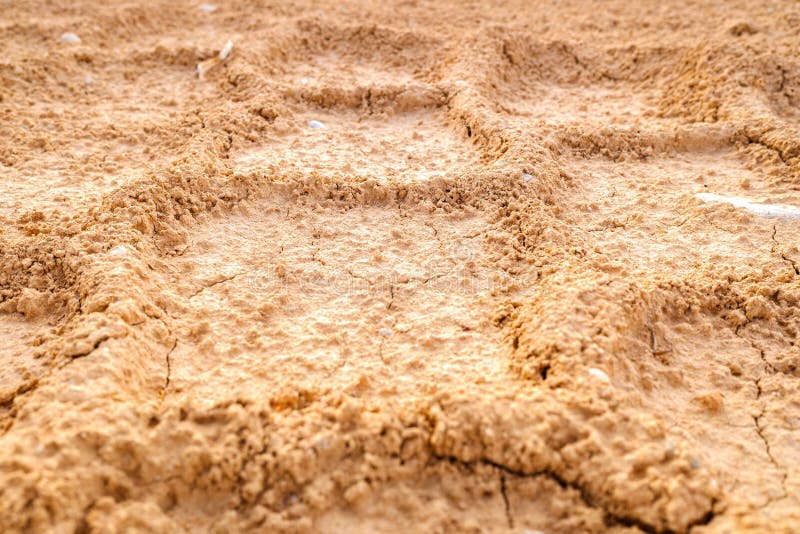 Curious Shapes with a Pattern Created by Drying the Mud of a Riverbed ...