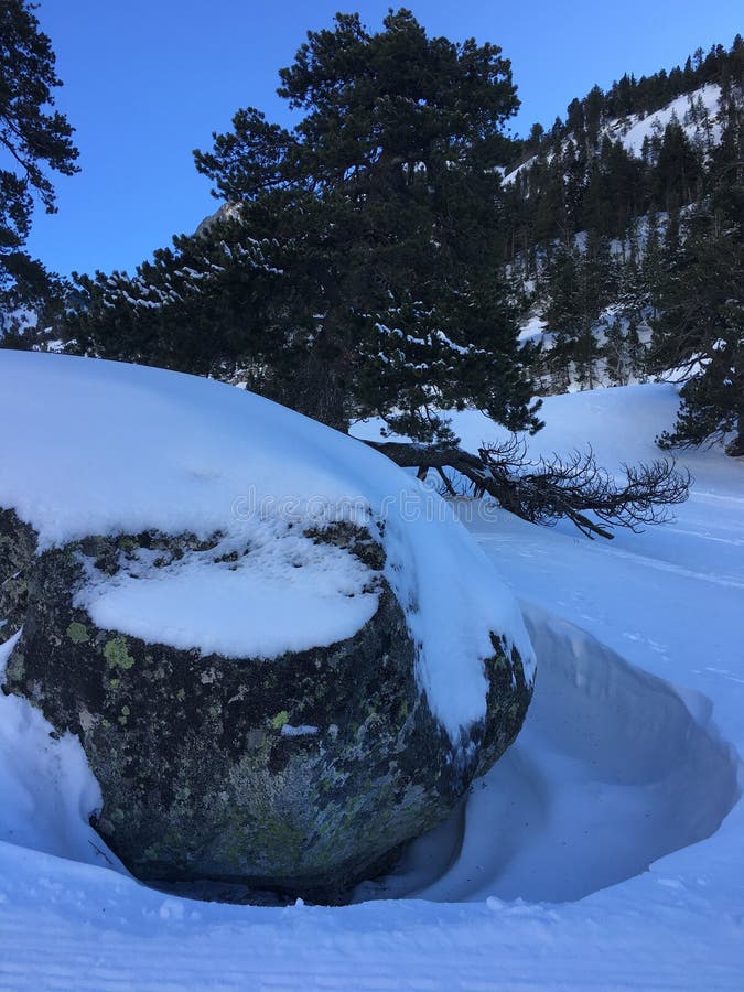 Curious Shapes in the Snow. Stock Photo - Image of frost, winter: 241178390