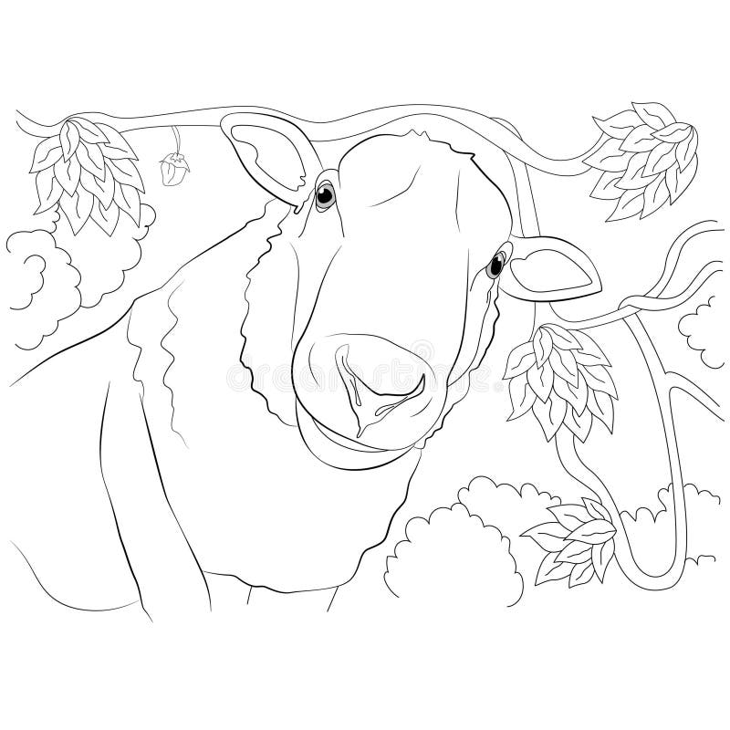 Curious Sheep Line Art Drawing Stock Illustrations – 10 Curious Sheep ...