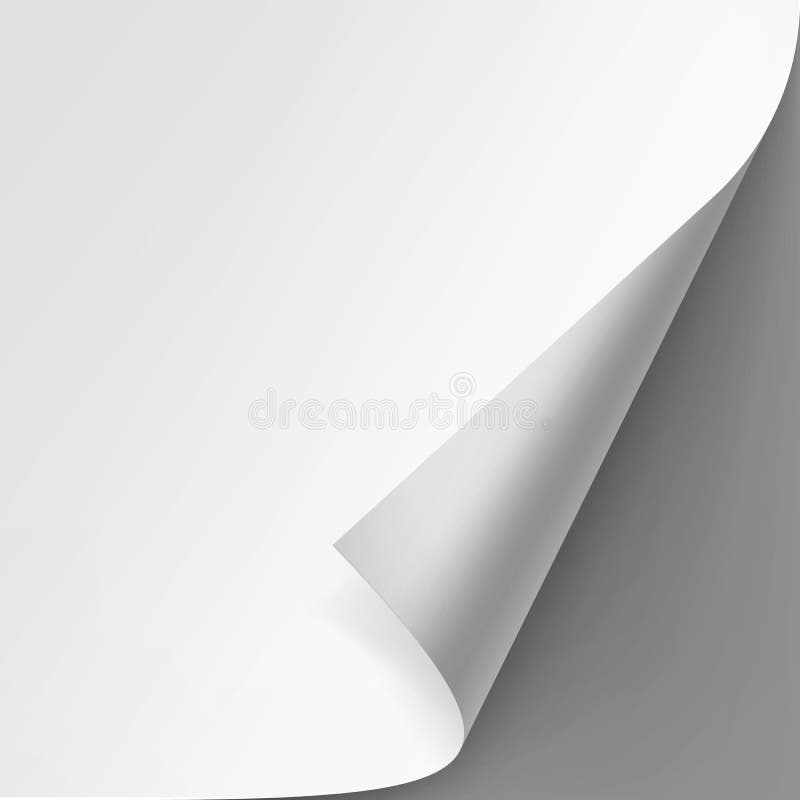 Curled Corner of White Paper on Gray Background Stock Vector ...
