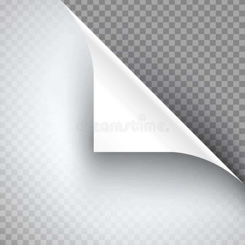 Curled Page Corner. Paper Edges, Curve Pages Corners and Papers Curls ...