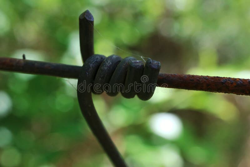 Curled wire texture stock image. Image of macro, life - 4793391