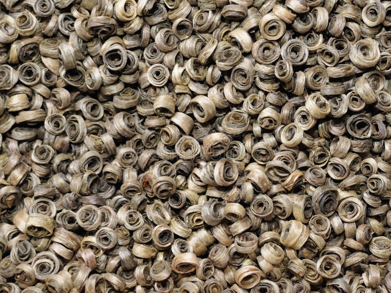 Curled tea leaves stock photo. Image of round, nature - 14303110