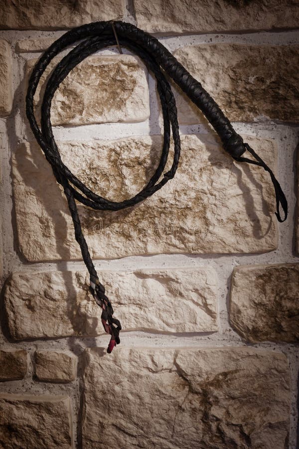 Curled whip on the wall stock photo. Image of sadism - 83645288