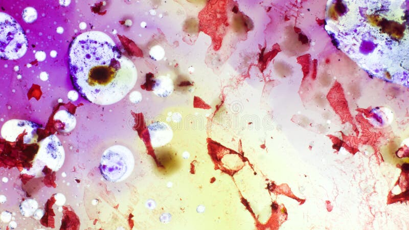 Curlicue of Paints stock image. Image of abstract, amber - 68076889