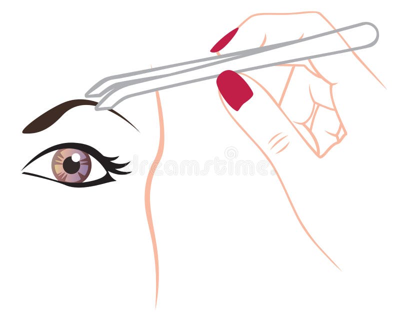 Classical Shape of Eyebrows. Microblaining and Permanent Make-up. the ...