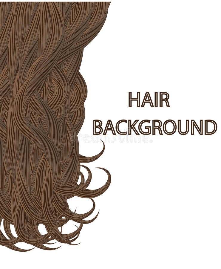 Vector Curl Brunette Hair on a White Background Stock Vector ...