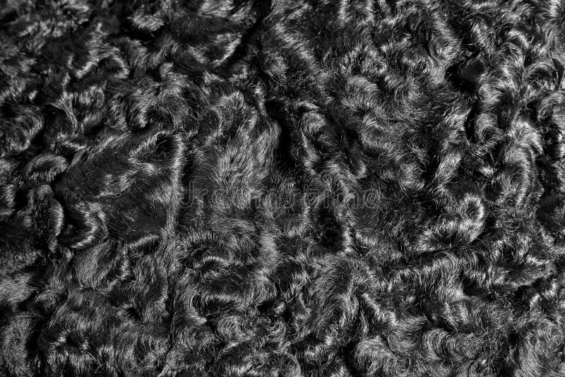 Texture Of Black Curly Hair Stock Image - Image of shot, dark: 56463501